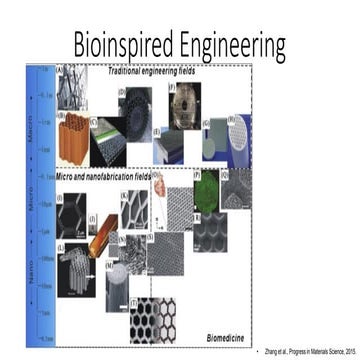 Bioinspired Engineering Lec Full great COURSE | PPT