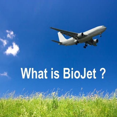 Biojet V25 M | PDF | Aviation Industry | Industries