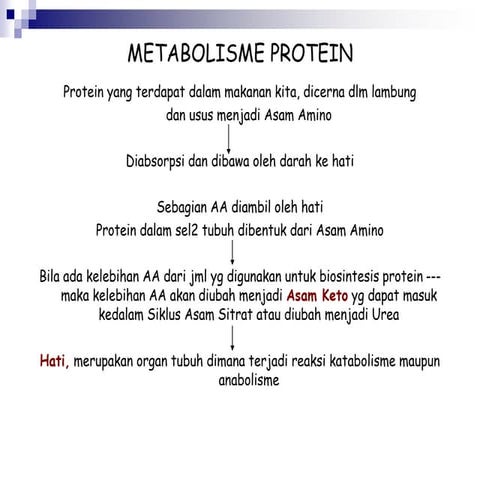 METABOLISME PROTEIN | PPT
