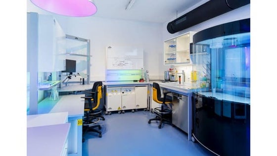 pictures advanced Microbio.pdf