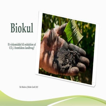 Biokul & Pyrolyse.pptx