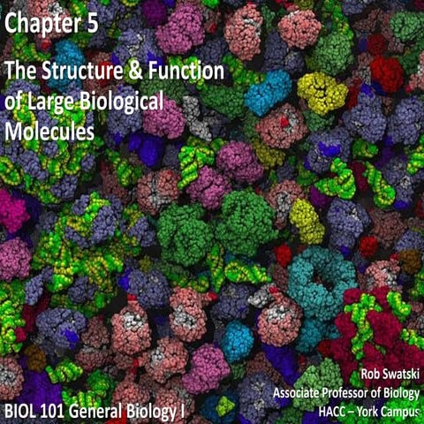 Biol101 chp5-pp-fall10-101011181834-phpapp02 | PDF