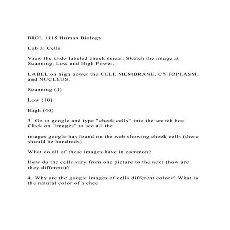 Human cell preparation biology lab for first | PDF