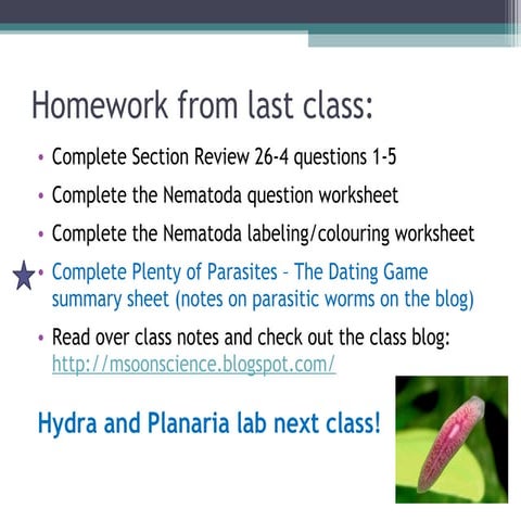 Biol 11 Lesson 6 Feb 17 - Lab - Hydra and Planaria | PPT