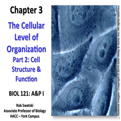Biol121 chp3-part2-cells-fall10-101004062718-phpapp02 | PDF