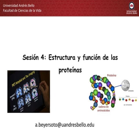 Clase II. Bioreceptores e inmovilizacion | PDF