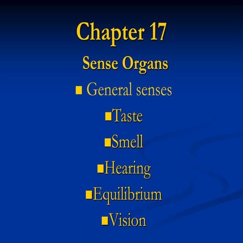 BIOL 2304 Chapter 17 - regarding sensory organs | PPT