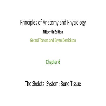 Comprehensive Overview of the Human Skeletal System and Its Functions ...