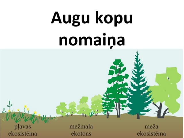 ZPD VADLĪNIJAS. Kā veidot ZPD un pareizi ta noformēt? | PDF