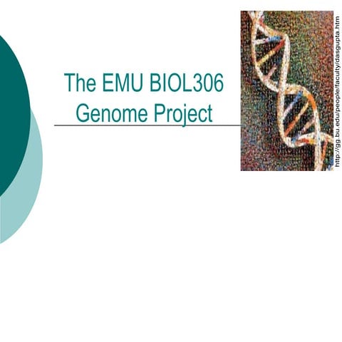 MYCOBACTERIUM TUBERCULOSIS Lab diagnosis | PPTX