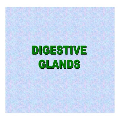 Biol 432 pp digestive glands | PDF