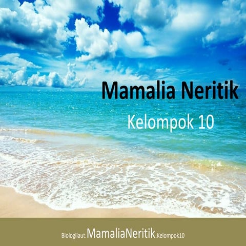 Mamalia Neritik | PPT