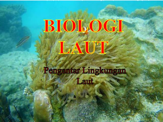 ZONASI LAUT (materi biologi laut) prodi biologipptx | PPTX