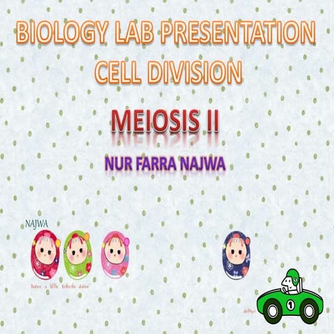 Bio lab 2015 meiosis11 (2) | PPTX | Genetics | Science