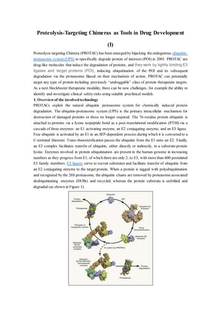 Protac-BOC Sciences | PDF