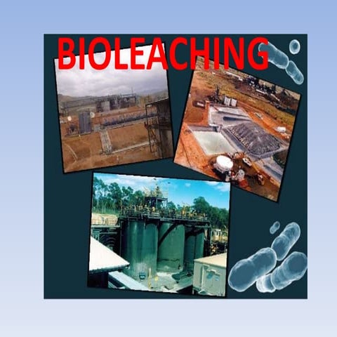 Bioleaching | PPTX