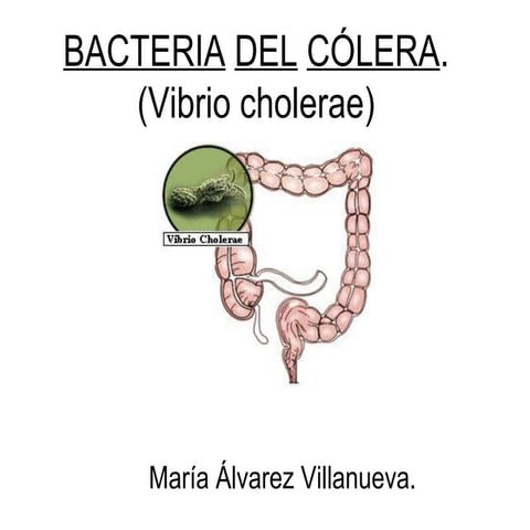 Colera | PPTX