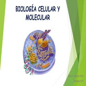 Biología celular y molecular | PPTX