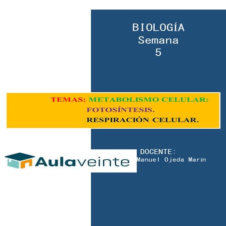 Fotosíntesis y respiración celular_ | DOCX