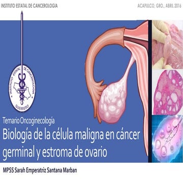 Biología de la célula maligna en cáncer germinal y estromal | PDF