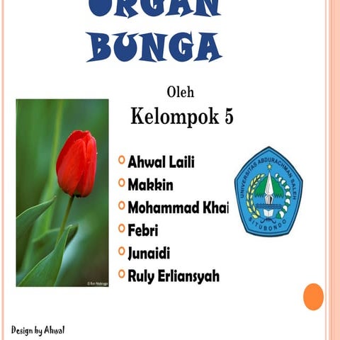 Organ Bunga | PPT