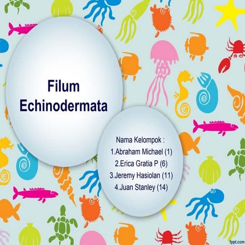 Echinordermata | PPT