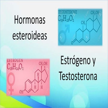 Biosíntesis de la testosterona- Lester Villarreal.pptx