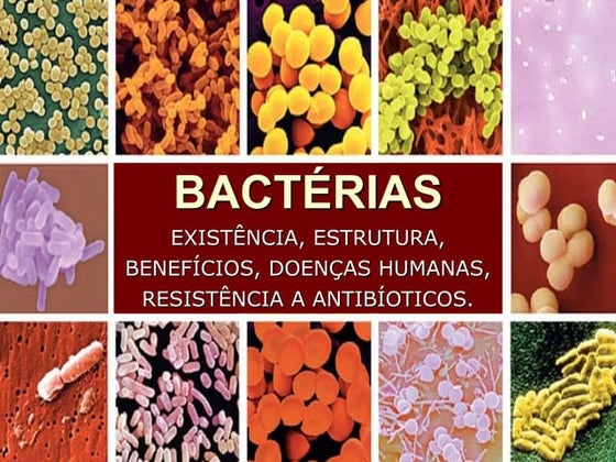 Virus, bacterias e protozorios | PDF
