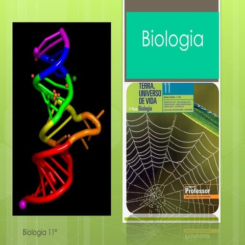 Biologia 11 estrutura do rna | PDF