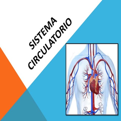 SISTEMA CIRCULATORIO CLASE 25 | PPTX