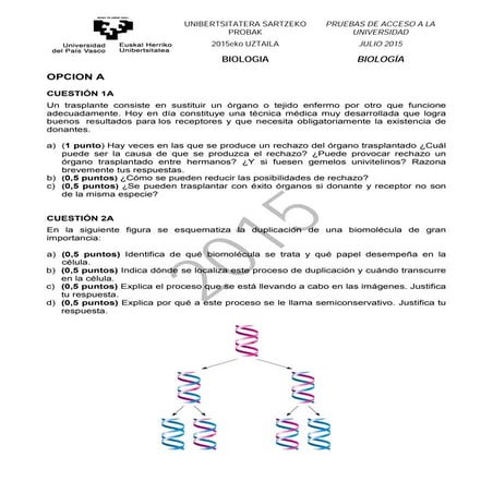 Nhft a3-mh-pathway-poster-v6 | PDF