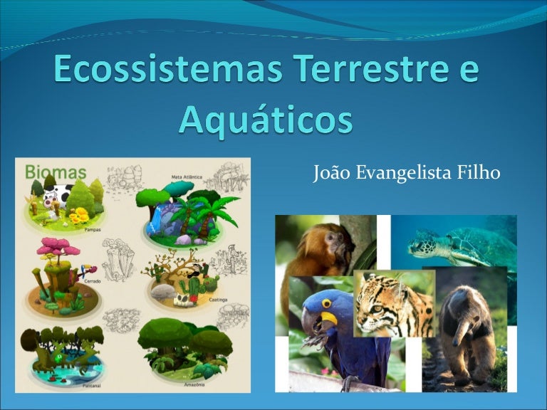 Biologia 3 ecossistemas terrestres e aquáticos