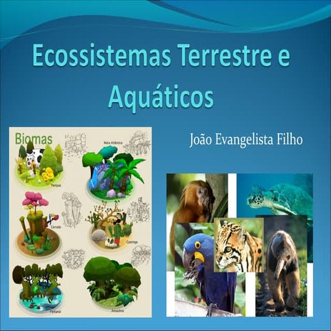 Biologia 3 ecossistemas terrestres e aquáticos | PPT