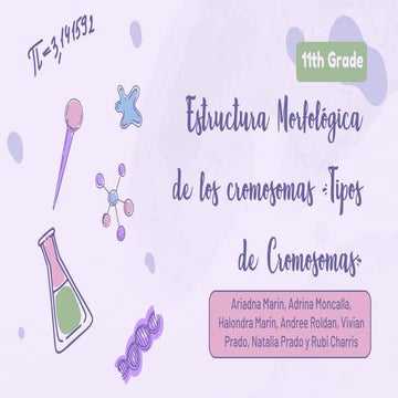 Presentacion de la estructura de los cromosomas | PDF
