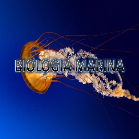 Biologia marina | PPT