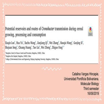 SEMINARIO BIOLOGIA MOLECULAR | PDF