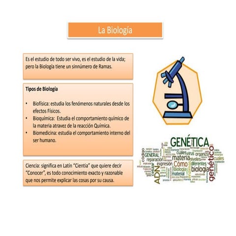 Biologia y Sus Ramas | PPTX