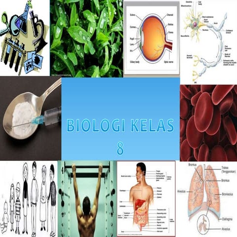 Biologi Bab 1 (Pertumbuhan dan Perkembangan).pptx