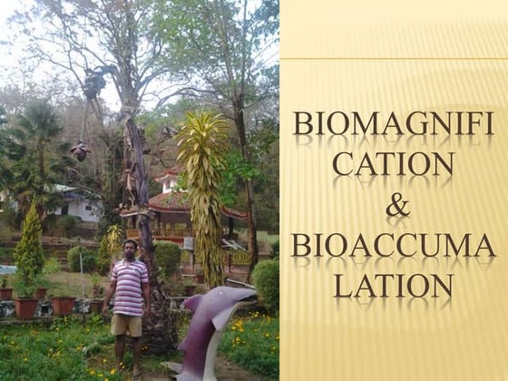 Biomagnification | PPT