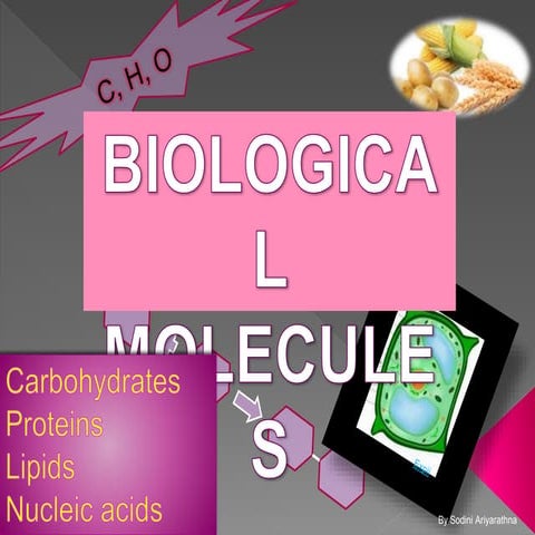 Biological molecules | PPTX