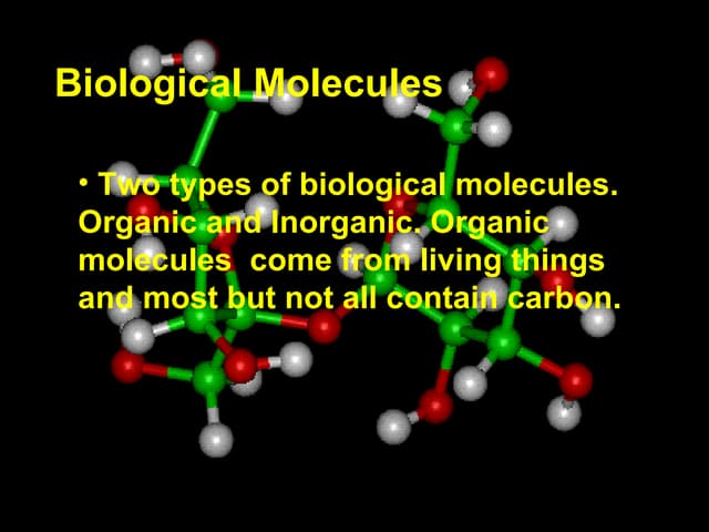 02 The Role of DNA in Protein Synthesis | PPT