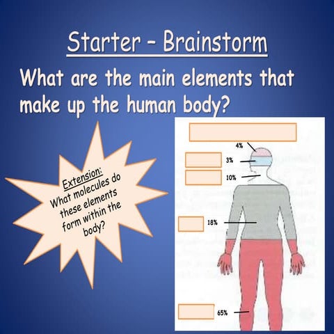 Biological molecules powerpoint summary. | PPTX