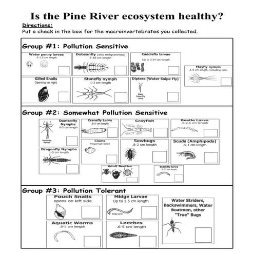 Biological assessment data form | PDF
