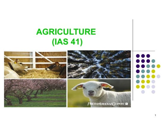 Chap 7 IAS 41 - Biological Assets.pptx | Agriculture | Industries
