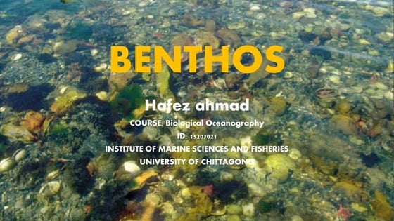Benthos - types and their role in ecosystem | PPTX | Zoos & Aquariums ...