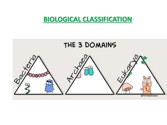 Biological Classification_Shobhit Nirwan.pdf