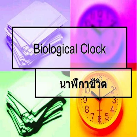 Biological Clock | PPS