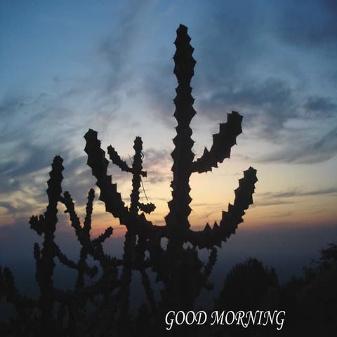 Maxillary and mandbular anatomical landmarks | PPTX