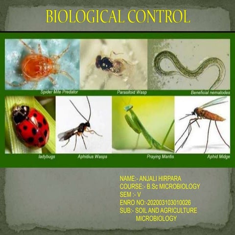 BIOLOGICAL CONTROL.ppt