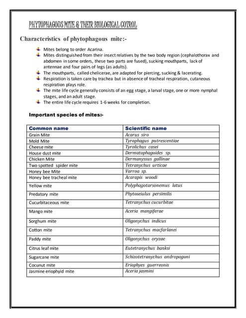 Insect order Collembola | Springtails | PPT